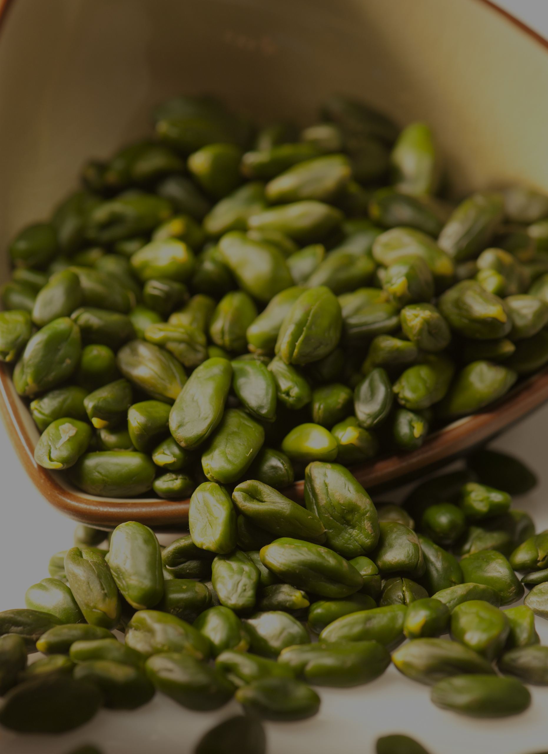 Nazaria Pistachio | importación y distribución de frutos secos.