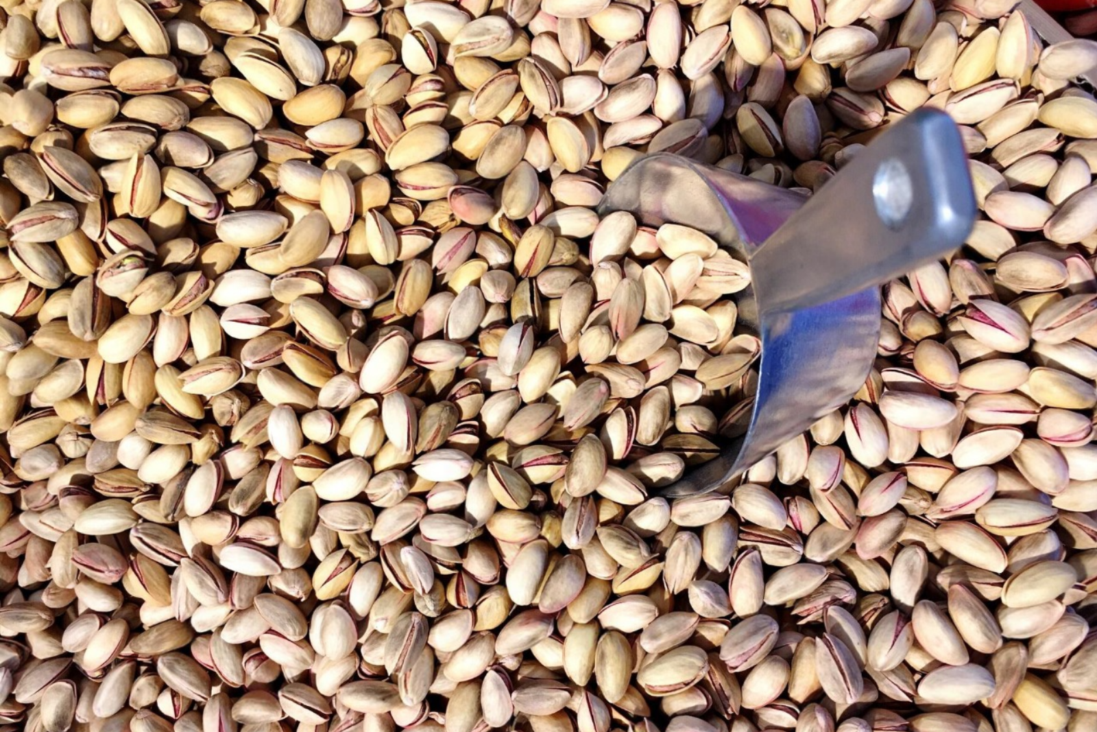 Importación y venta al por mayor de pistachos con Nazaría Pistachio ...